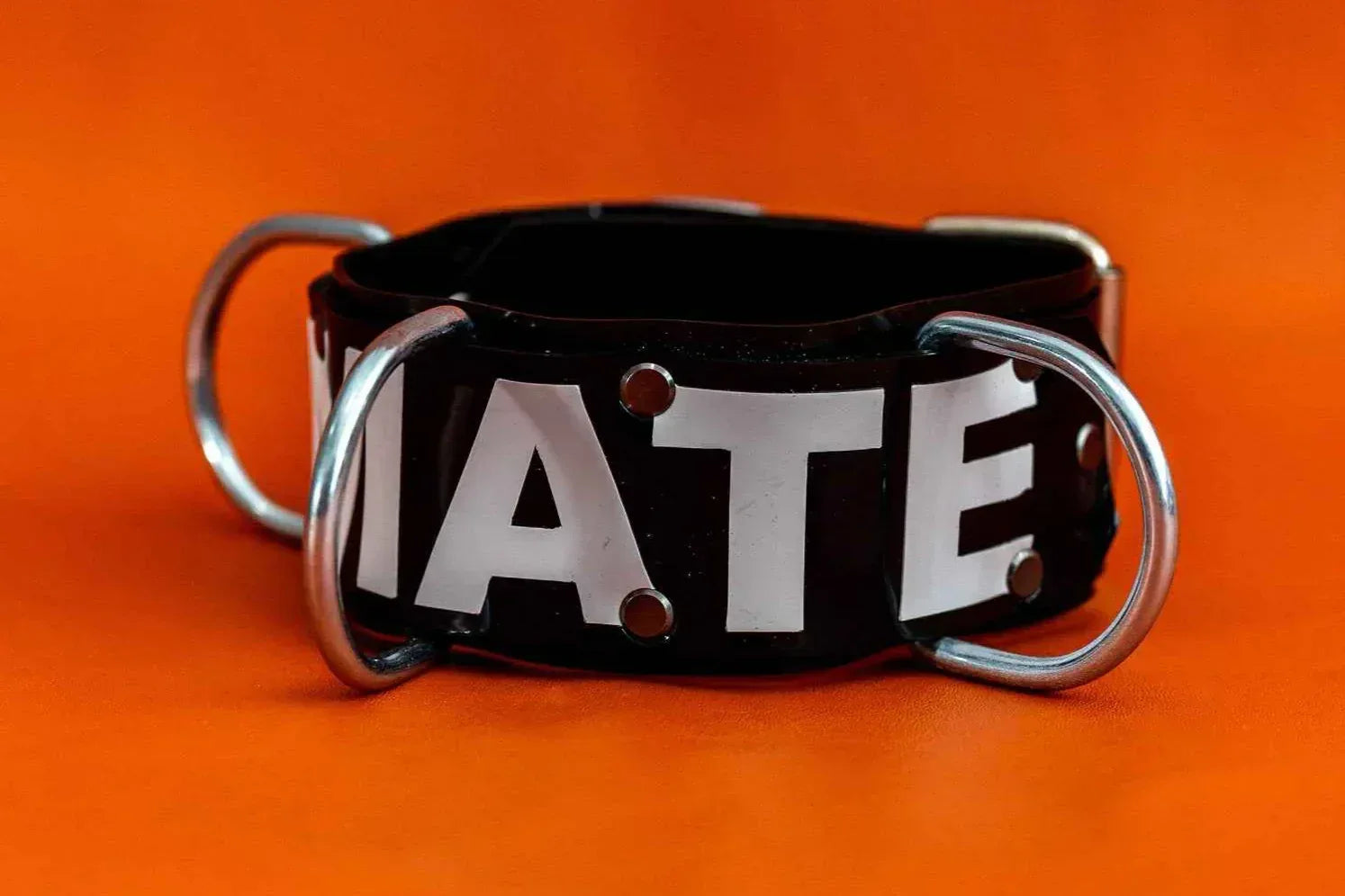 Custom Lockout Bondage Collar - InmateGear